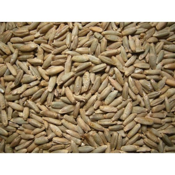 CENTENO BIG BAG DE 500 KG.